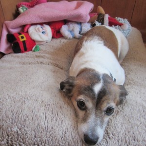 Exclusive Interview with Frank and Lally HOUSE