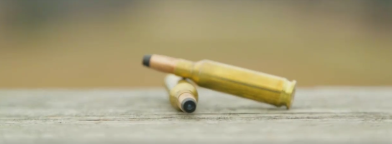 Bullet Cam from Vortex Hornady