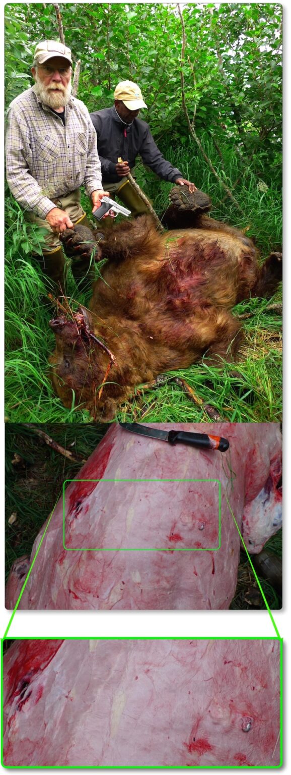 +P AMMO FOR .380 ACP. AND 9MM? HERE IS WHY.